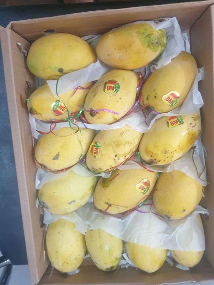 Mangoes - Iqbal Awan Trading