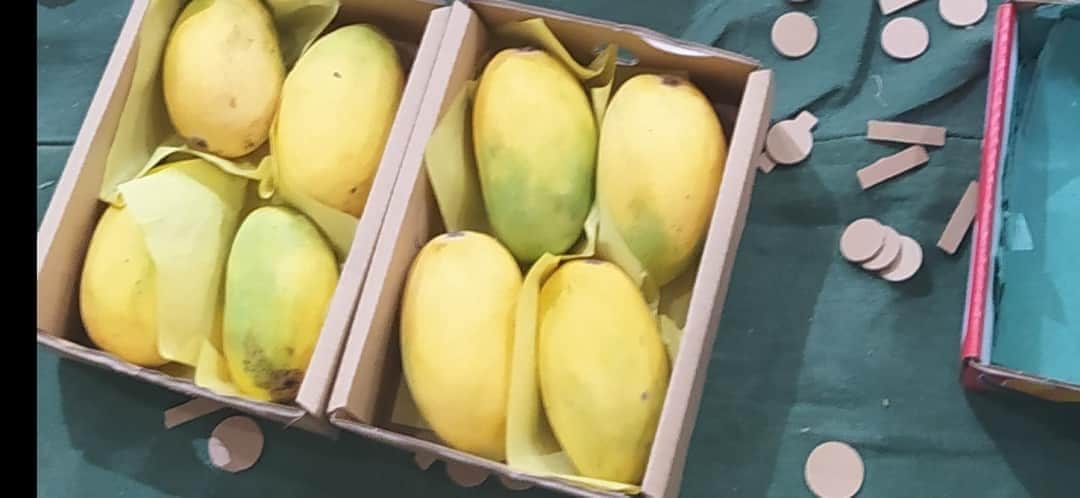 Mangoes - Iqbal Awan Trading